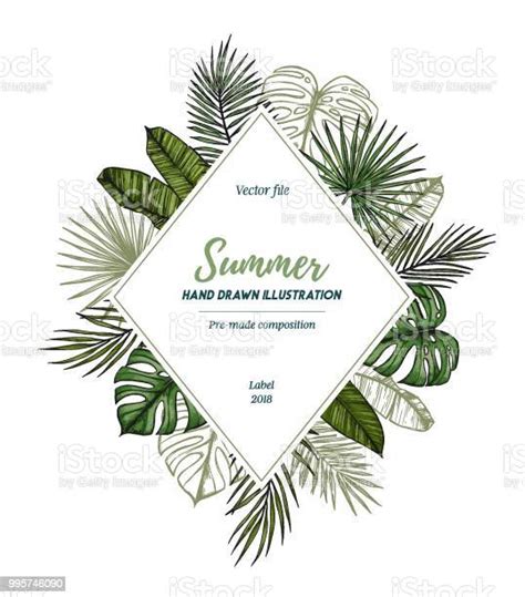 여름 열 대 이국적인 템플릿입니다 손바닥으로 레이블 잎 손으로 그린 벡터 일러스트 레이 션 인쇄 포스터 초대장 등 포장에 대 한