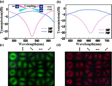 Figure 6 From Deep Learningbased Vortex Decomposition And Switching Based On Fiber Vector