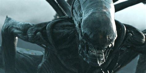 Every Xenomorph From The Alien Movies Ranked