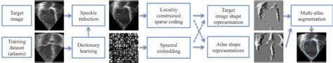 Block Diagram Of The Proposed Multi Atlas Segmentation Framework Download Scientific Diagram