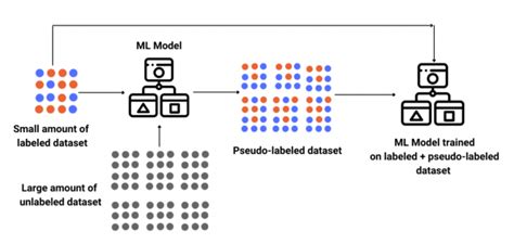 Different Types Of Machine Learning Models Algorithms Analytics Yogi