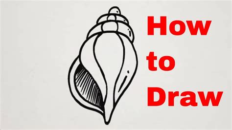Conch Shell Drawing Easy Draw Head