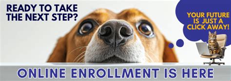 Zookeeper Assistant Program Explore Zoo Jobs