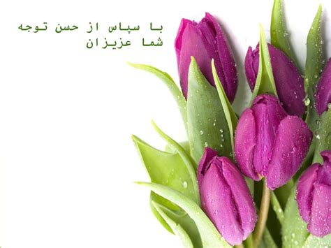 «با تأکید بر پایگاه اطلاعاتیscopus Ppt Download