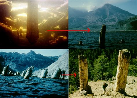 Polystrate Fossil Trees