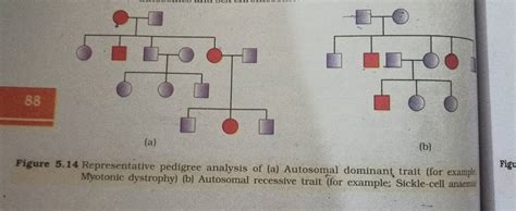 Autosomal Recessive Vs Autosomal Dominant Pedigree