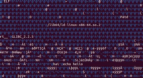 linux is system call in c program safe stack overflow
