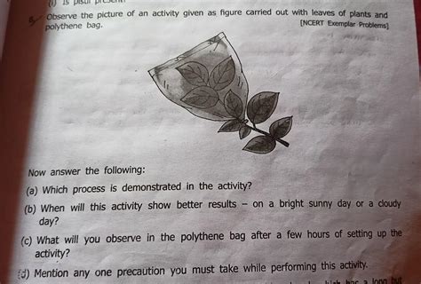 Help Me In This Question Brainly In