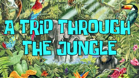 A Trip Through The Jungle Spongebob Fanon My Version Wiki Fandom