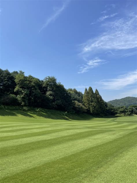 경기도 이천 회원제 골프 클럽 긴 전장 넓은 페어웨이를 갖춘 뉴스프링빌 Cc 네이버 블로그