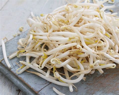 春吃芽夏吃瓜秋吃果冬吃根三分鐘讓你懂得養生吃法 歐華綜纜