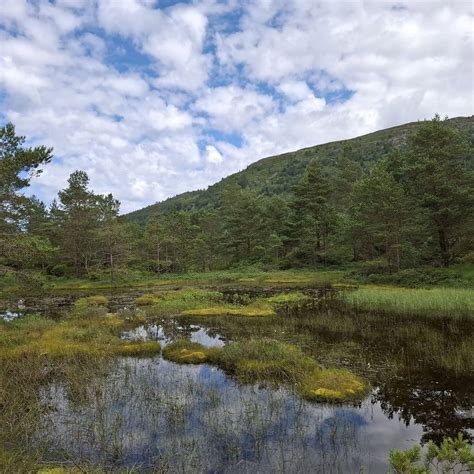 Безкоштовні Зображення And Фотографій для Комерційного Використання Pixnio