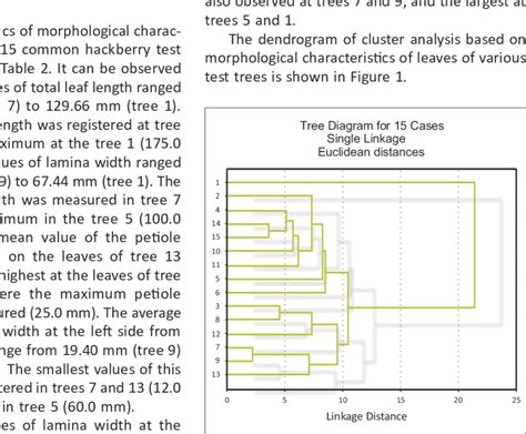 dendrogram of cluster analysis based on morphological characteristics