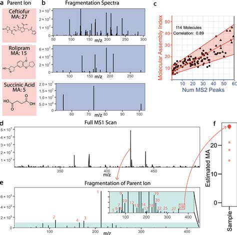 Mass Spectrometry Data Normalization At Harvey Horton Blog
