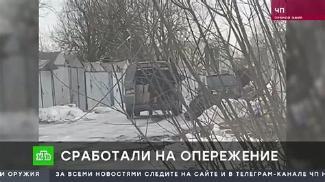 Сотрудники ФСБ предотвратила теракт