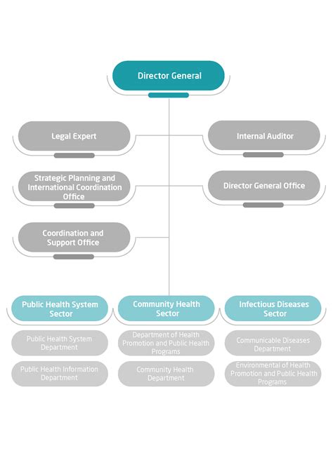 Organization Structure