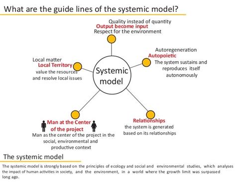 Systemic Design Explanation And Personal Work