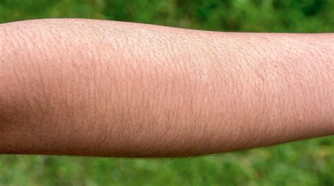 Punca Wanita Berbulu Lebat Lebih Tinggi Nafsu Seks