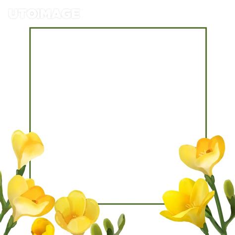 프리지아꽃 프레임입니다 O190325 Ok1004 일러스트 꽃 일러스트 이벤트 백그라운드 세일 할인 초대장