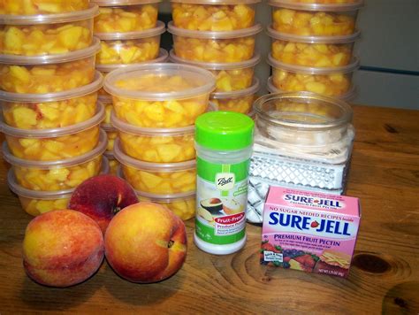 Frozen Lunchbox Peaches