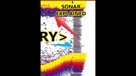 Fish Finders For Dummies Sonar Explained For Beginners What Your Transducer Does YouTube