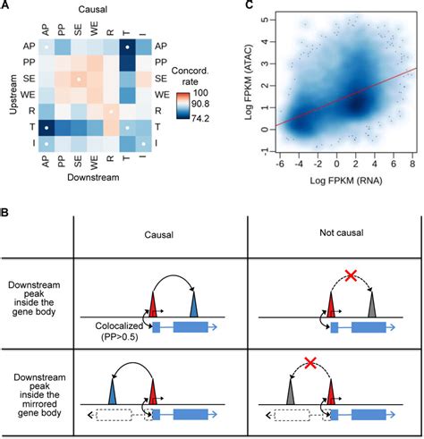 Comparison With Genome Segmentation And The Gene Body Effect On Download Scientific Diagram