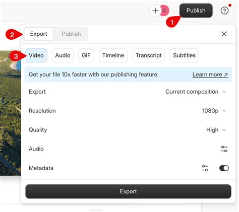 Exporting Video Descript Help