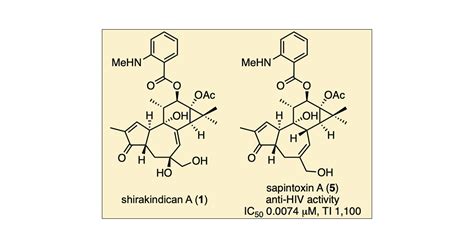 Tigliane Type Diterpene Esters From The Fruits Of Shirakiopsis Indica And Their Anti Hiv