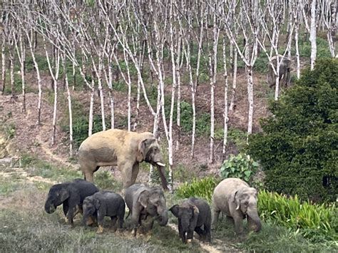 ตราดโพสต์ นิวส์ ตราดโพสต์ นิวส์ Added A New Photo