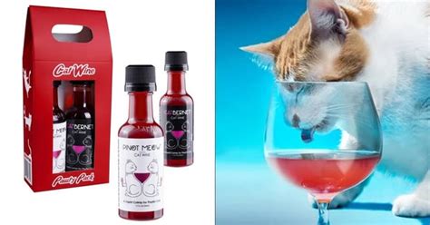 Cat Wine Pawty Pack Liquid Catnip For Cats R Thegreenhead