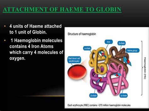 Hemoglobin Pptx