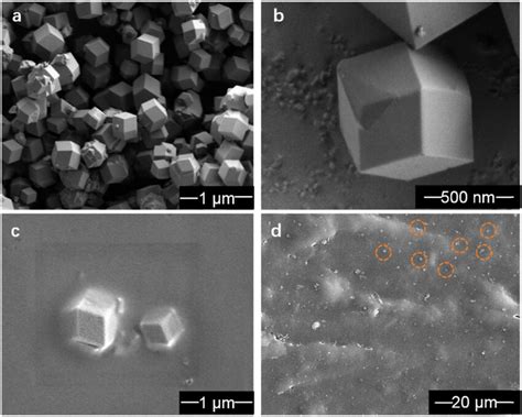 SEM Images Of A And B ZIF And C And D ZIF EP Download Scientific Diagram