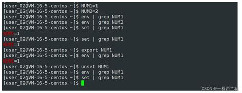 环境变量在编程中的作用与获取方式 Csdn博客