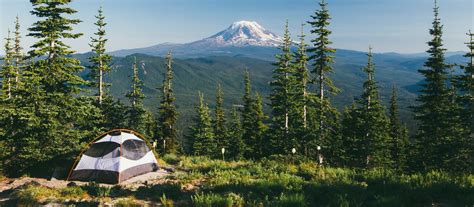 Sex And Relationships Older Adults Crave Intimacy