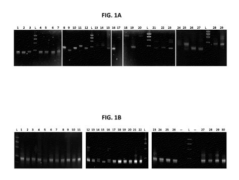 Nucleotides 千图网