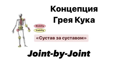 Концепция физиотерапевта Грея Кука Gray Cook «Сустав за суставом Youtube
