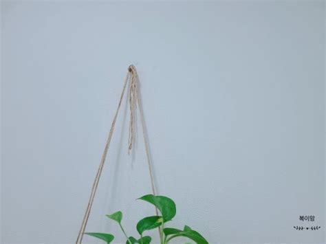 네이버 인플루언서