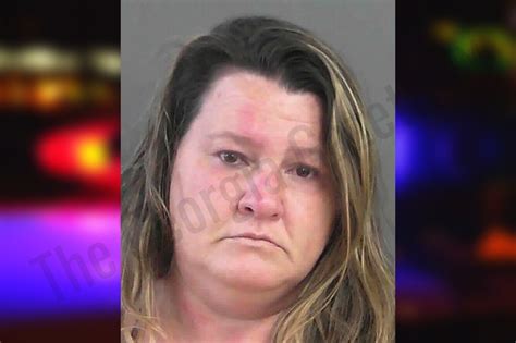 Lacey Sisson — Gordon County Jail Bookings