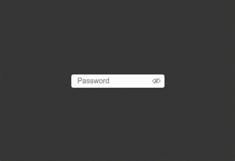 Show Hide Password CSS Geekboots