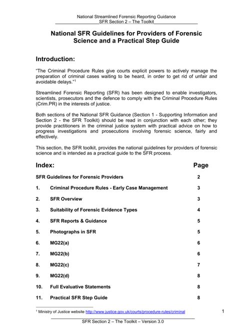 Forensic Report Template 1