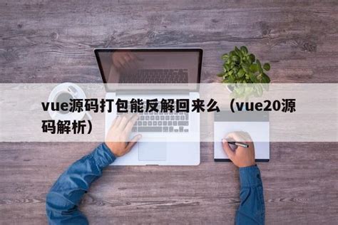 vue源码打包能反解回来么vue 源码解析 杂七乱八 源码村资源网