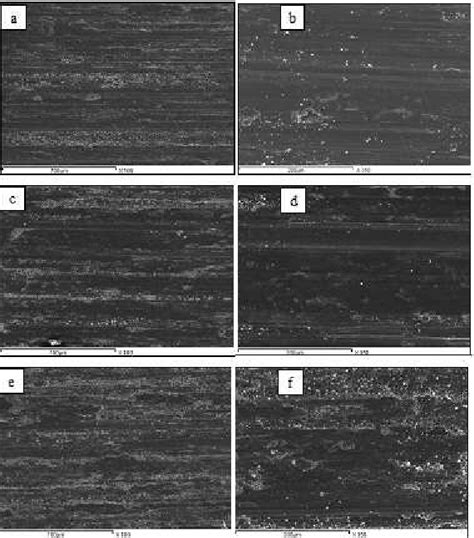 Sem Micrographs Of The Worn Surface After Dsht At Different