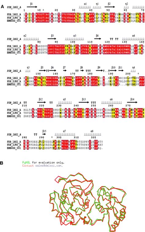 A Structure Based Sequence Alignment Of Structures 1hg1a 2jk0a And