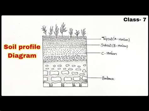 How To Draw Soil Profile Step By Step