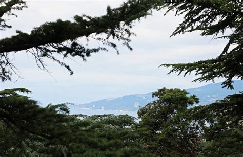 Жёлтый уровень террористической опасности в Крыму продлён до 23 сентября