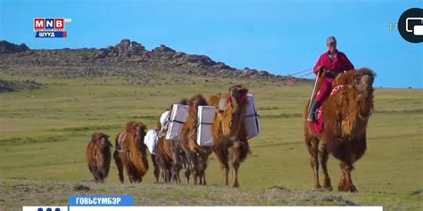 Чойр хотын хамгийн том нэгдсэн зар мэдээ