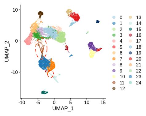 Questions About The Pipeline · Compbiomed Singlecelltk · Discussion 636 · Github