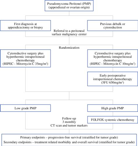 Clinical Pathway For Randomization Of Patients With Pseudomyxoma