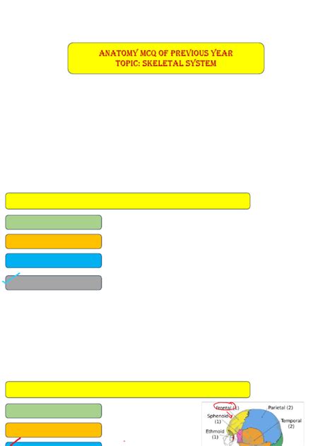 Mcq Bones Pdf