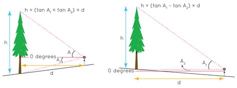How To Measure The Height Of A Tree Using Trigonometry Solved
